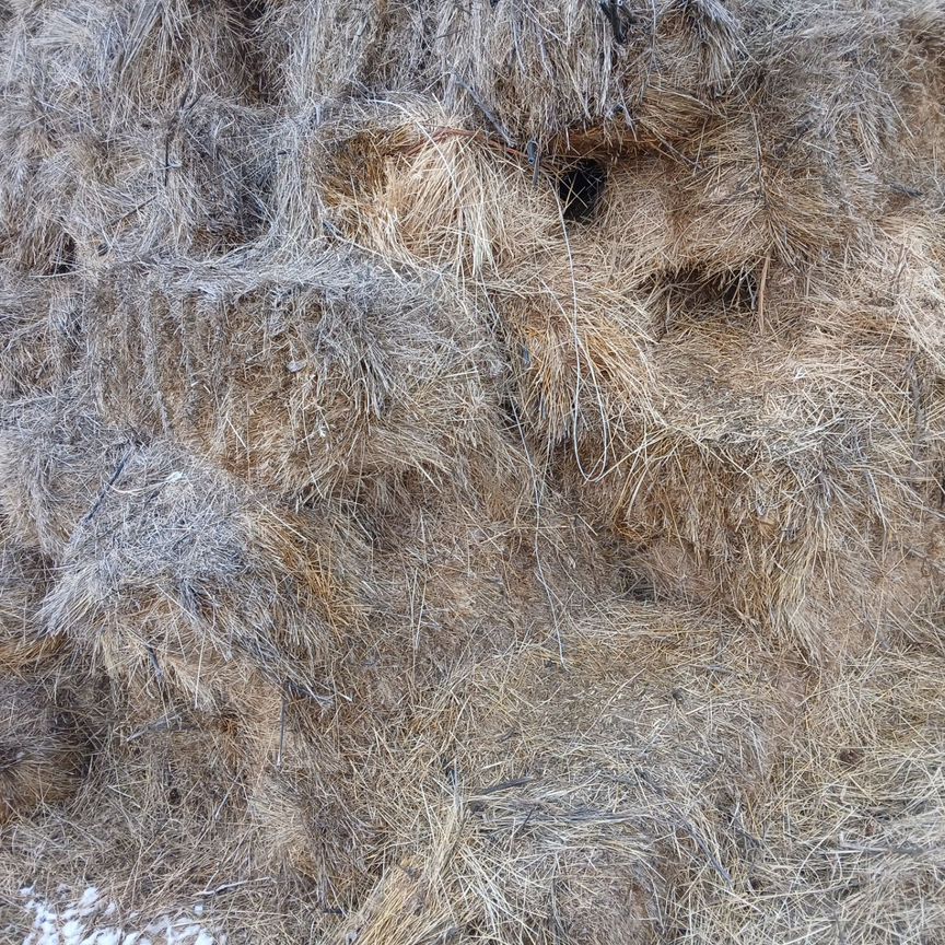 Сено в тюках