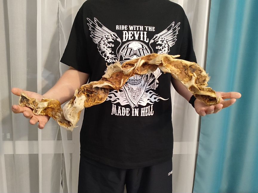 Коряги для террариума