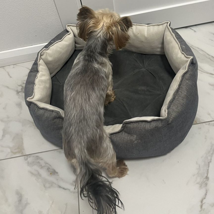 Лежанка для маленьких собак