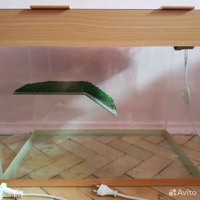 Продам акватеррариум 50л