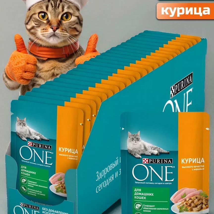 Корм для кошек purina ONE 75гр Пурина ван 75гр