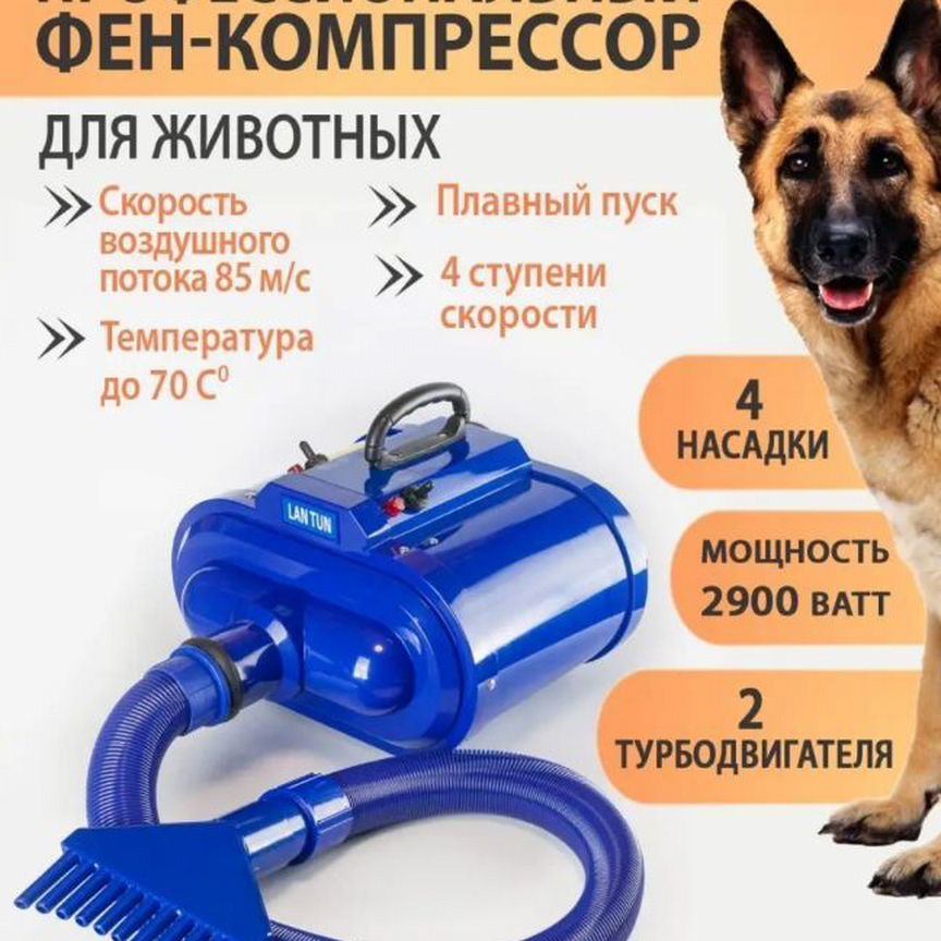 Фен компрессор для собак аренда