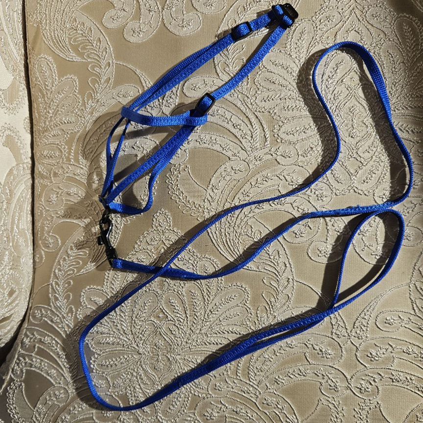 Шлейка для кошки, кролика, собачки