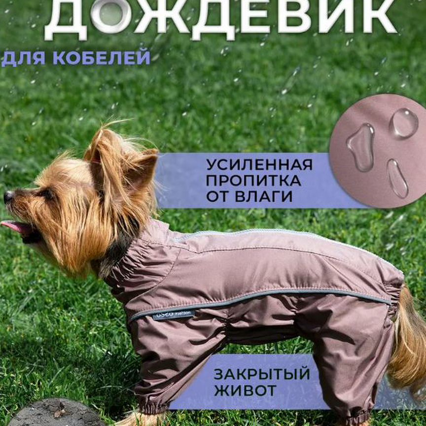 Комбинезон дождевик для собак мелких пород мальчик