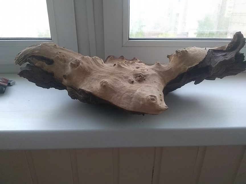 Коряга