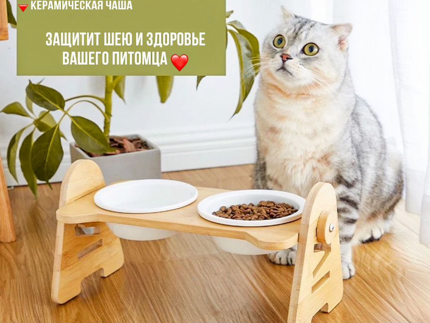 Миски на подставке для собак и кошек