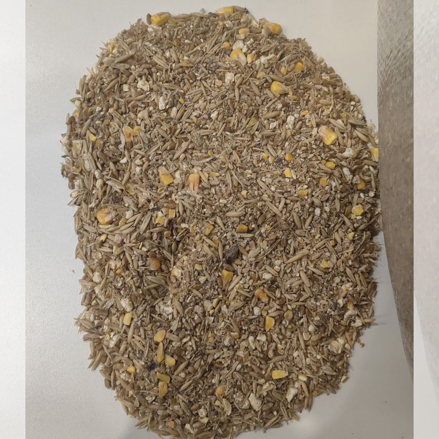 Зерносмесь для кур