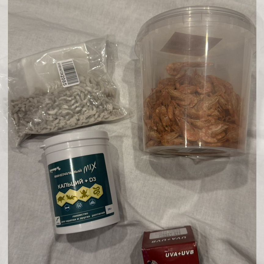 Корм для черепах