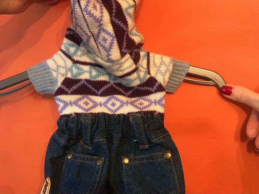 Прогулочный костюм для собачки (25 см) спинка,новы