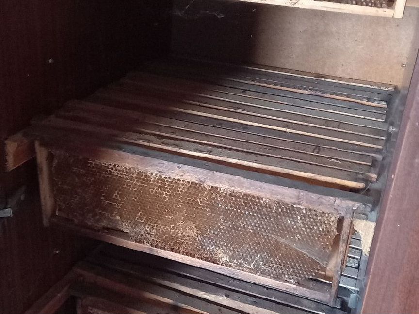 Пчелиные рамки