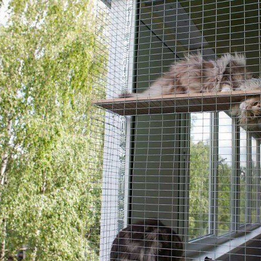 Вольер для кошек