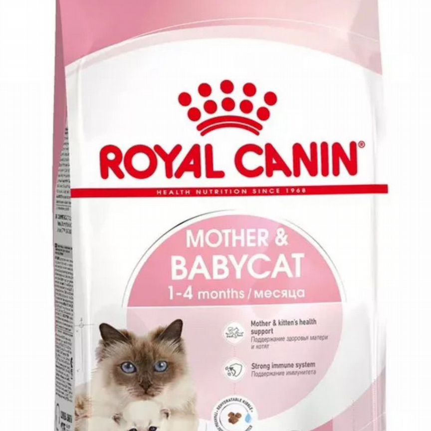 Корм для котят