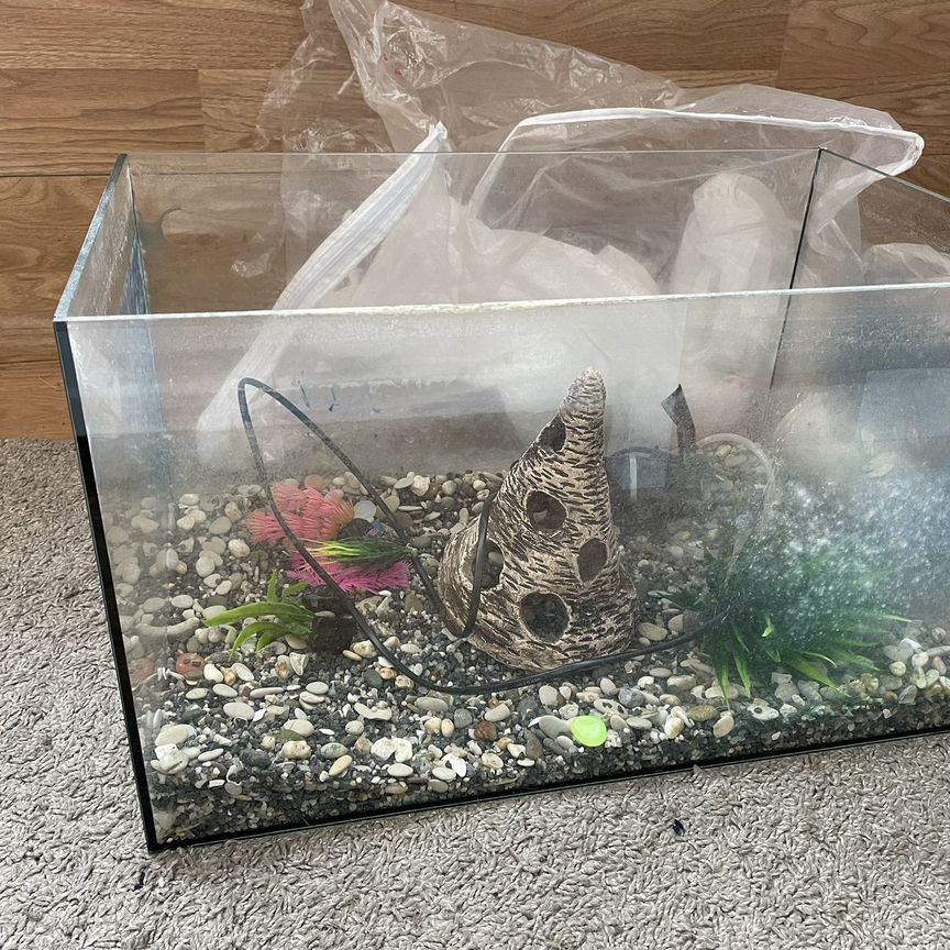 Аквариум 45л. С наполнением