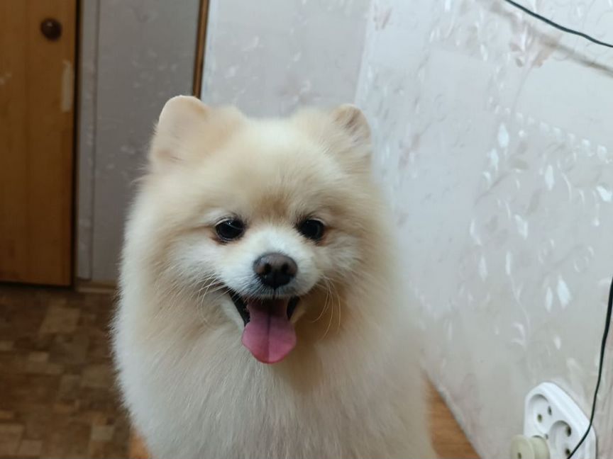 Мальчик красавчик