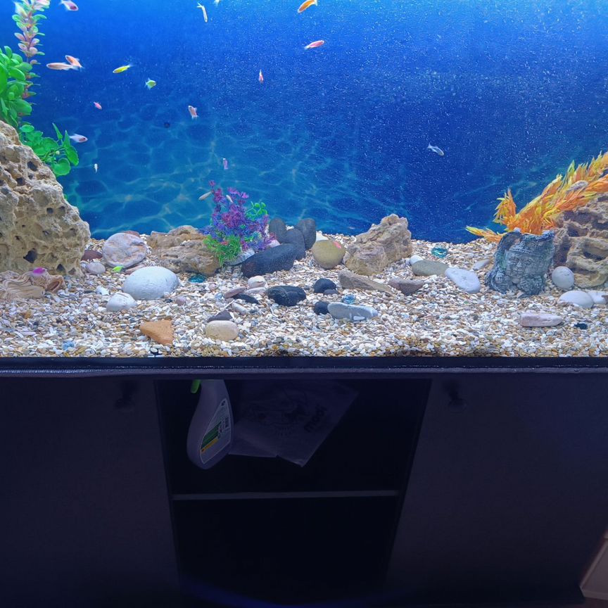 Наполнение в аквариум 320 литров