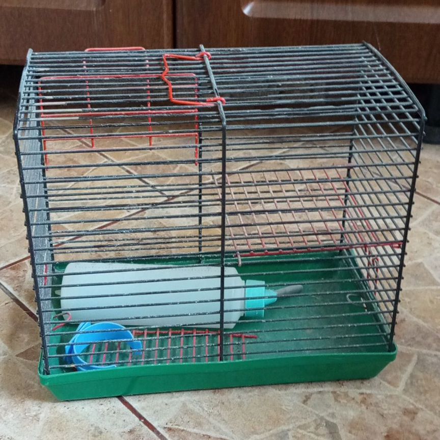 Клетка для джунгарского хомяка