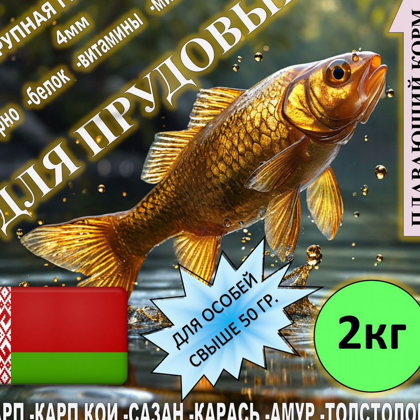Корм плавающий для прудовых рыб 2кг