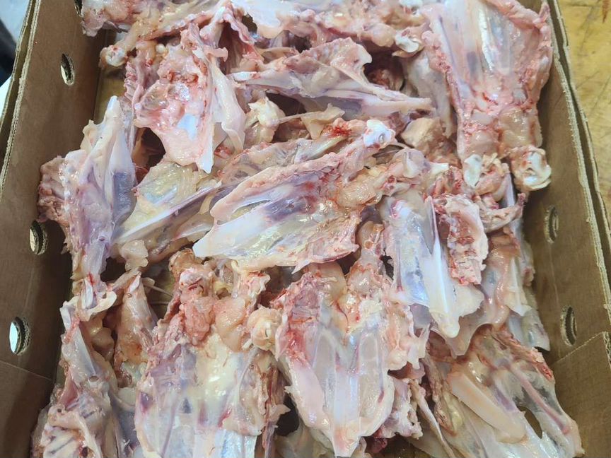 Корм для собак