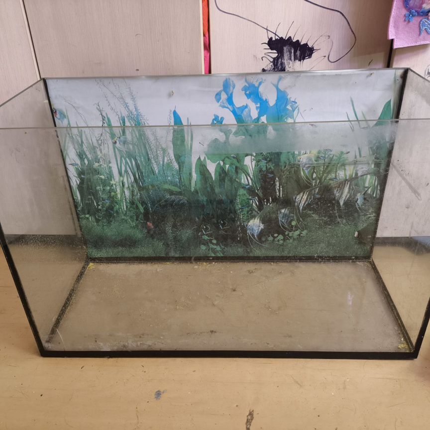 Аквариум, террариум