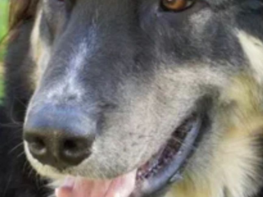 Мега красавец Юджин ждёт своего человека