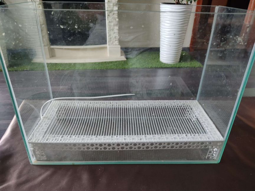 Нерестовик