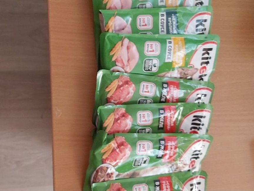 Кошачий корм влажный