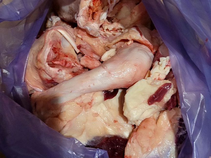 Кости для собак,свежие, бесплатно