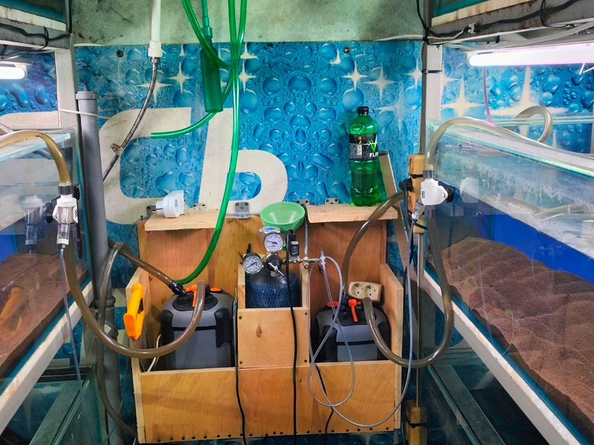 Оборудование для растений