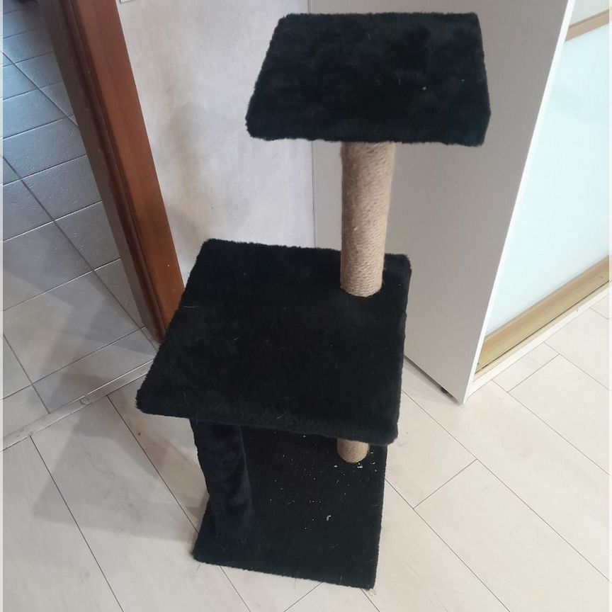 Когтеточка