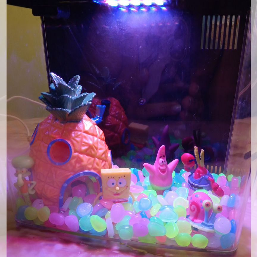 Мини аквариум