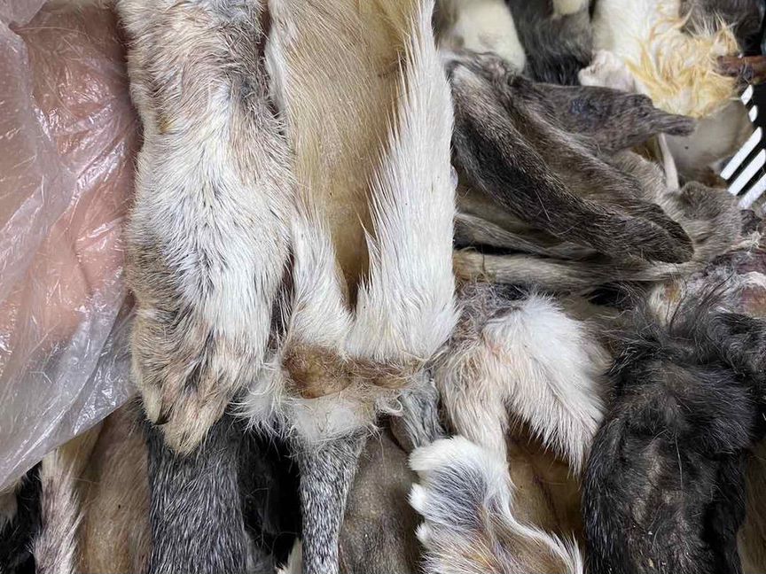 Лакомства для собак