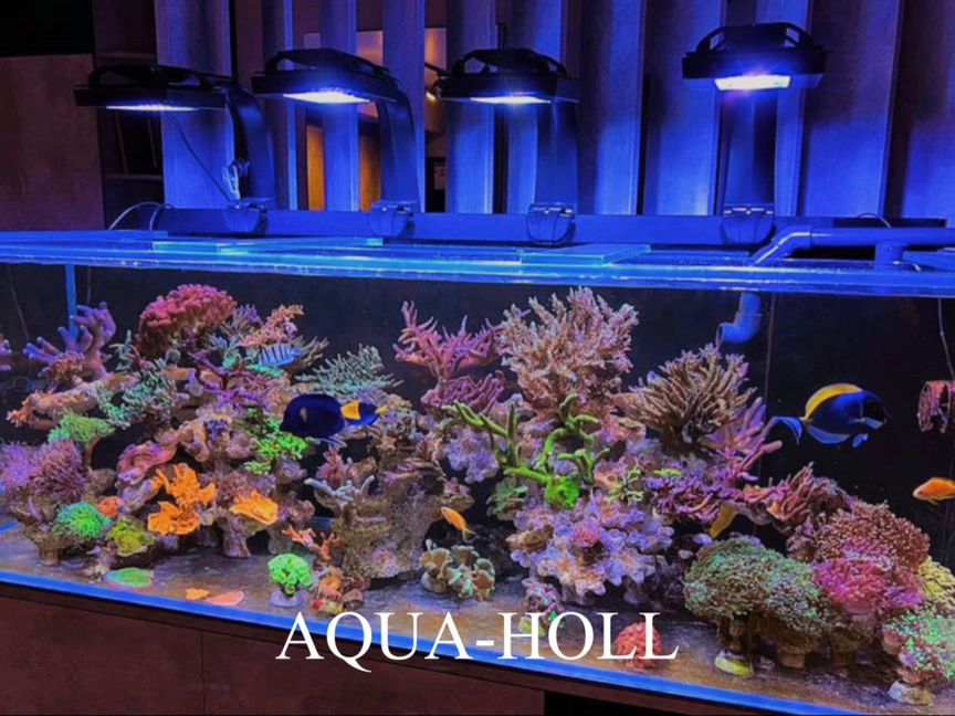 Морской аквариум 200-1000литров