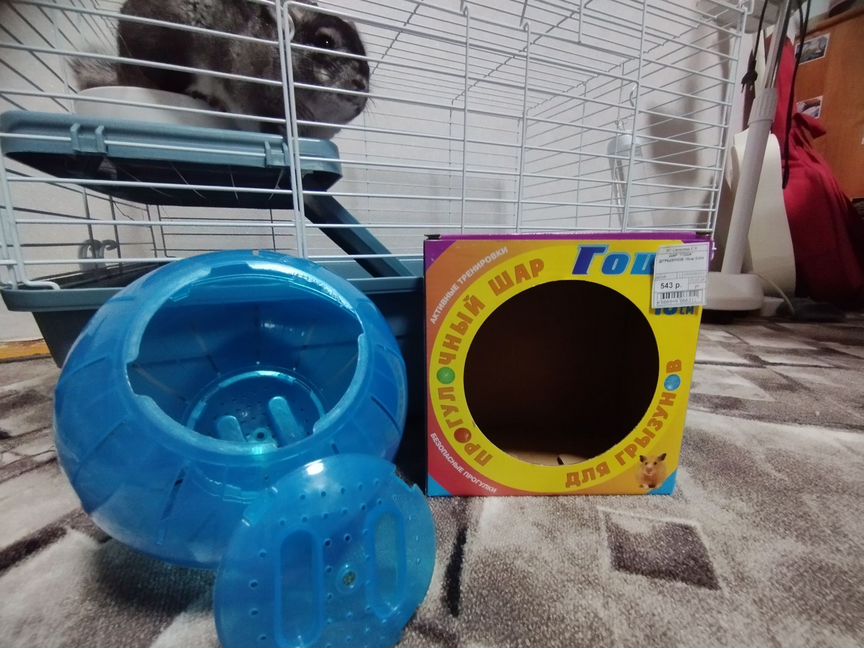 Шар для шиншиллы