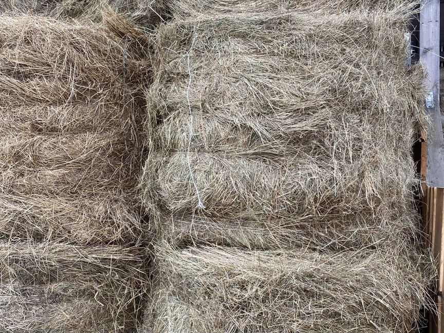 Сено в рулонах