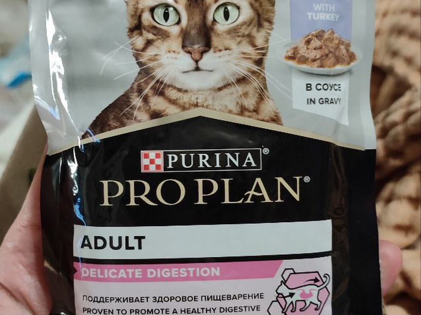 Влажный корм для кошек pro plan