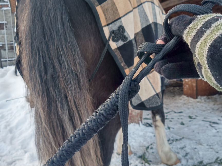 Шамберьер, длиной до 2-х метров