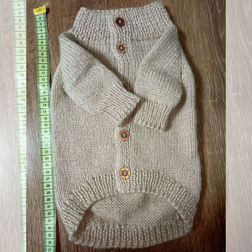 Йоркширский терьер, взрослая собака