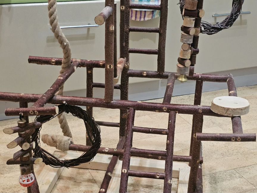 Игровая площадка для попугая