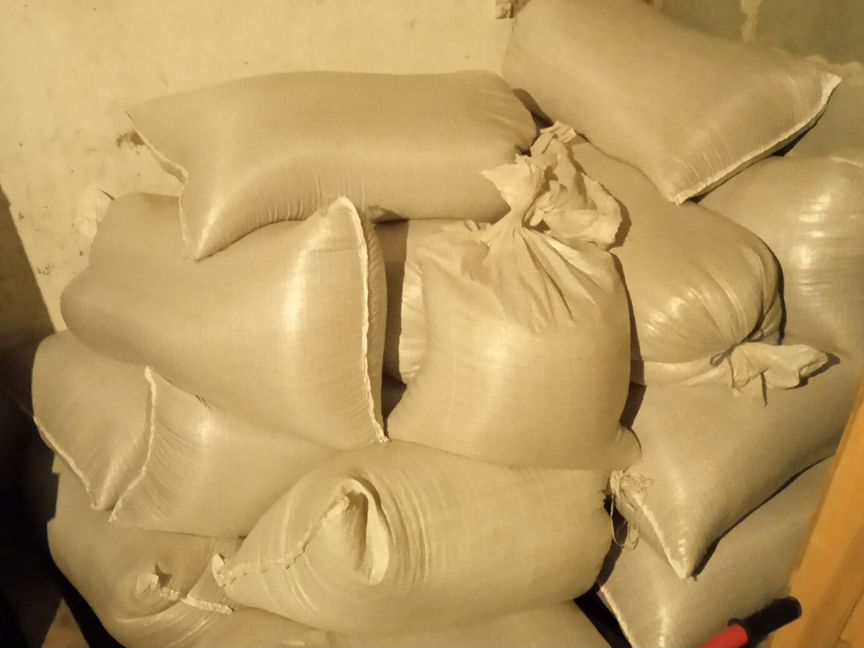 Пшеница Зерно Мешок 2023 Тонна