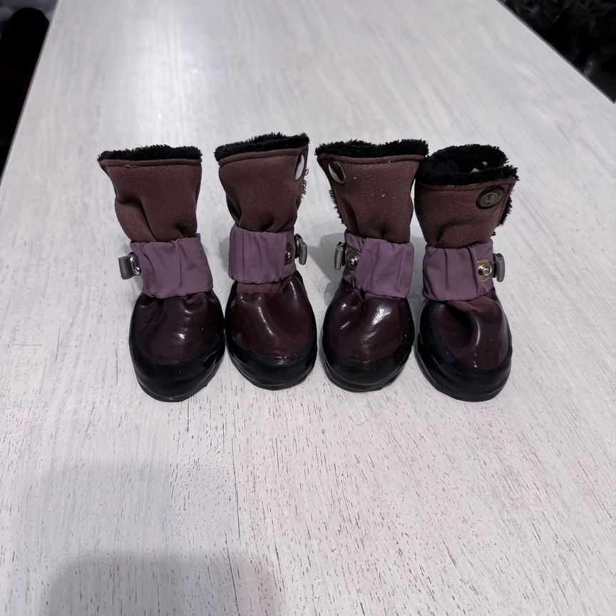 Ботинки для собак Зооателье Софи