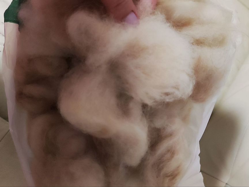 Шерсть шпицев