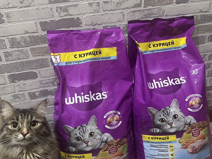 Сухой корм для кошек Whiskas 5кг(с курицей)