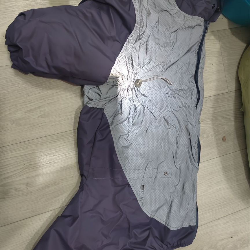 Комбинезон для средней собаки, мальчика