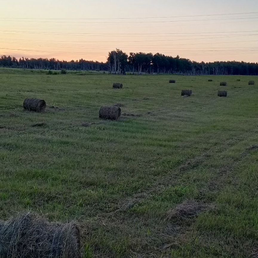 Сено рулоны 50х70