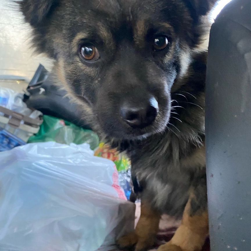 Мальчик ищет семью