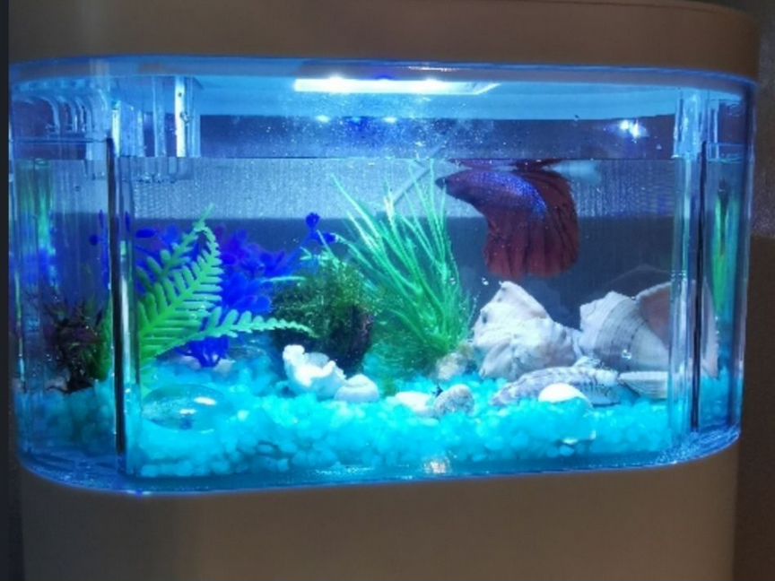 Мини эко аквариум с подсветкой и фильтрацией