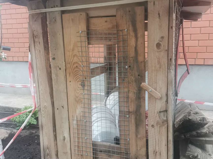 Домик - курятник