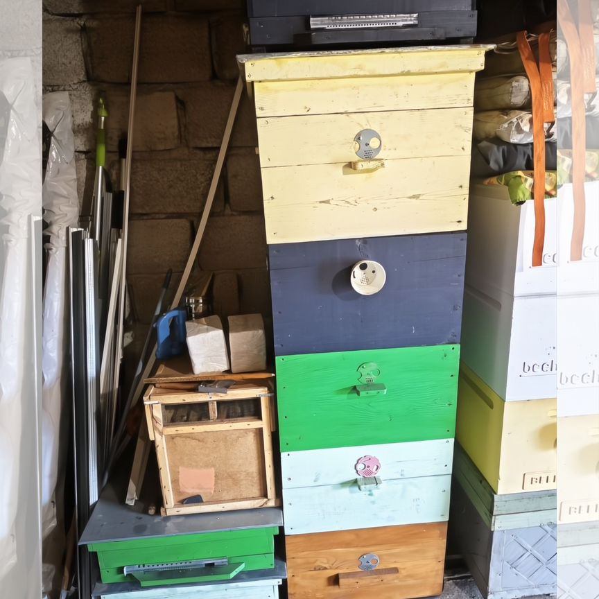 Улья дадан 12 рамок