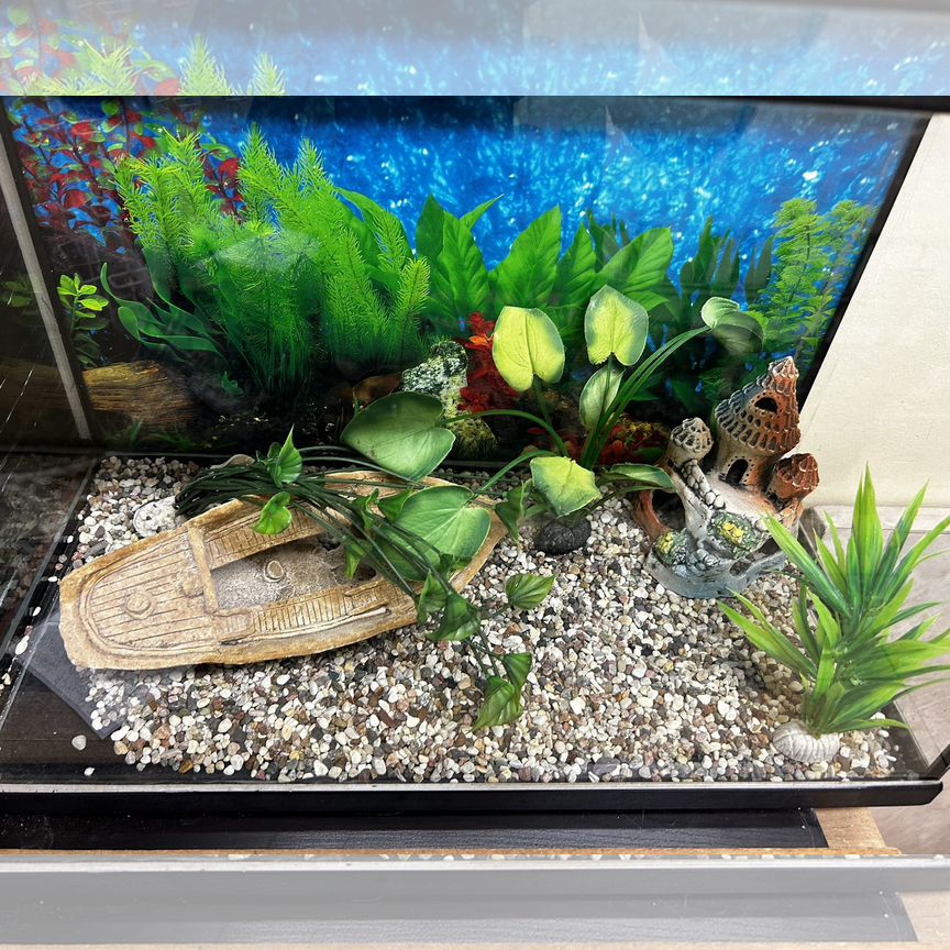 Аквариум под ключ