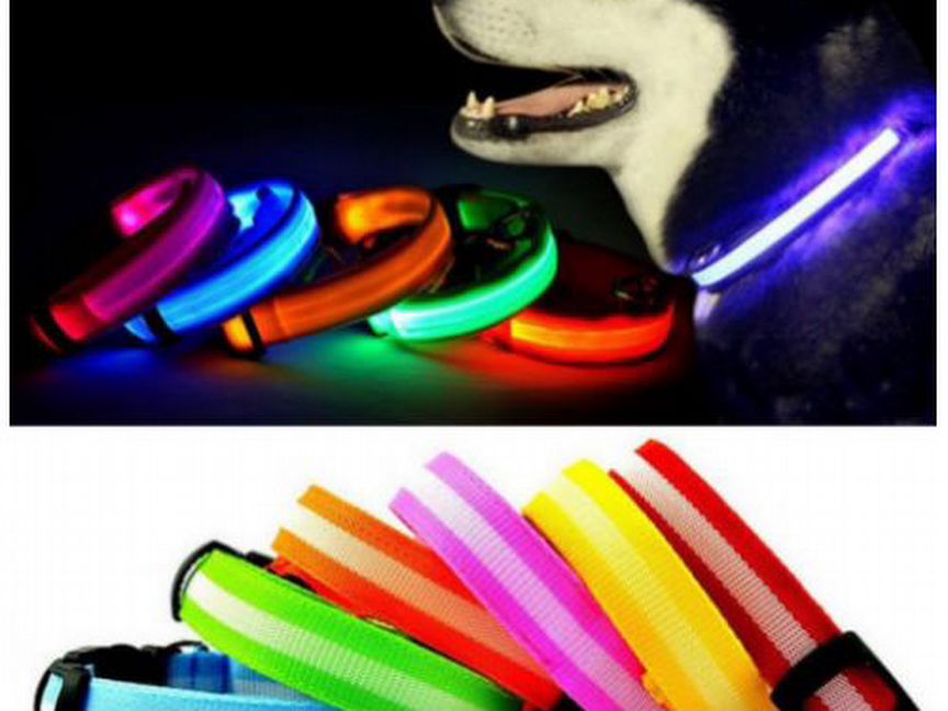LED Ошейник светящийся